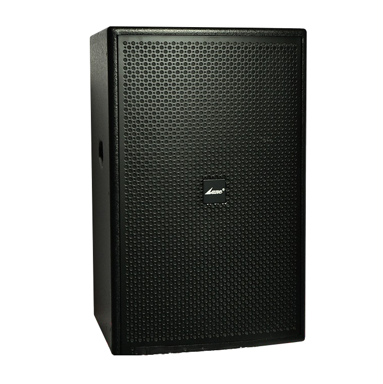 Lane Pro P-815 15" 600RMS 2-Way Loudspeaker | SBR Pro Sound