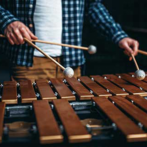 Xylophones | SBR Pro Sound