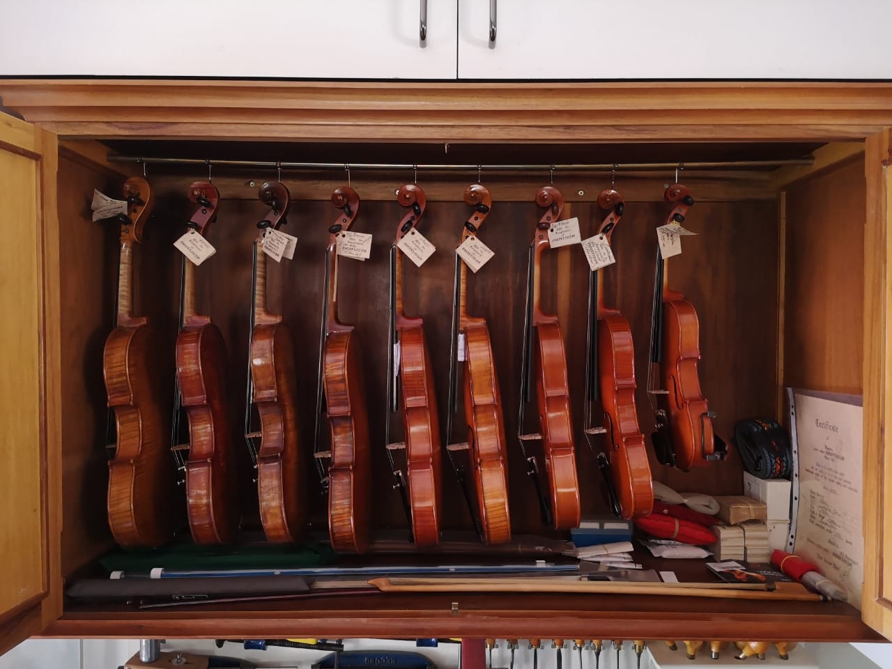 Esterhadzie Hand Crafted Orchestral Instruments | SBR Pro Sound
