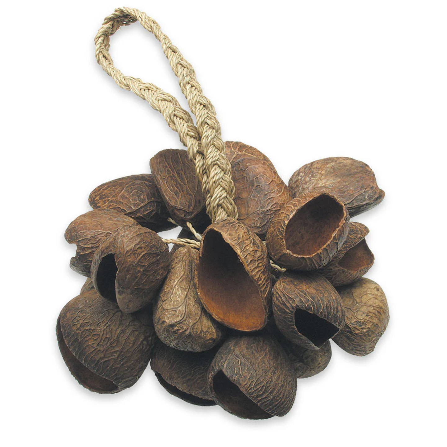 Toca T-SS - Seed Shell Shaker | SBR Pro Sound